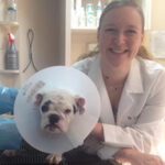 About – Loving Touch Animal Hospital